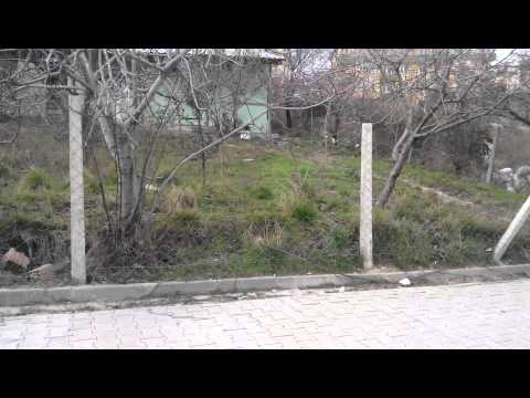 Sol ayak geliştirme