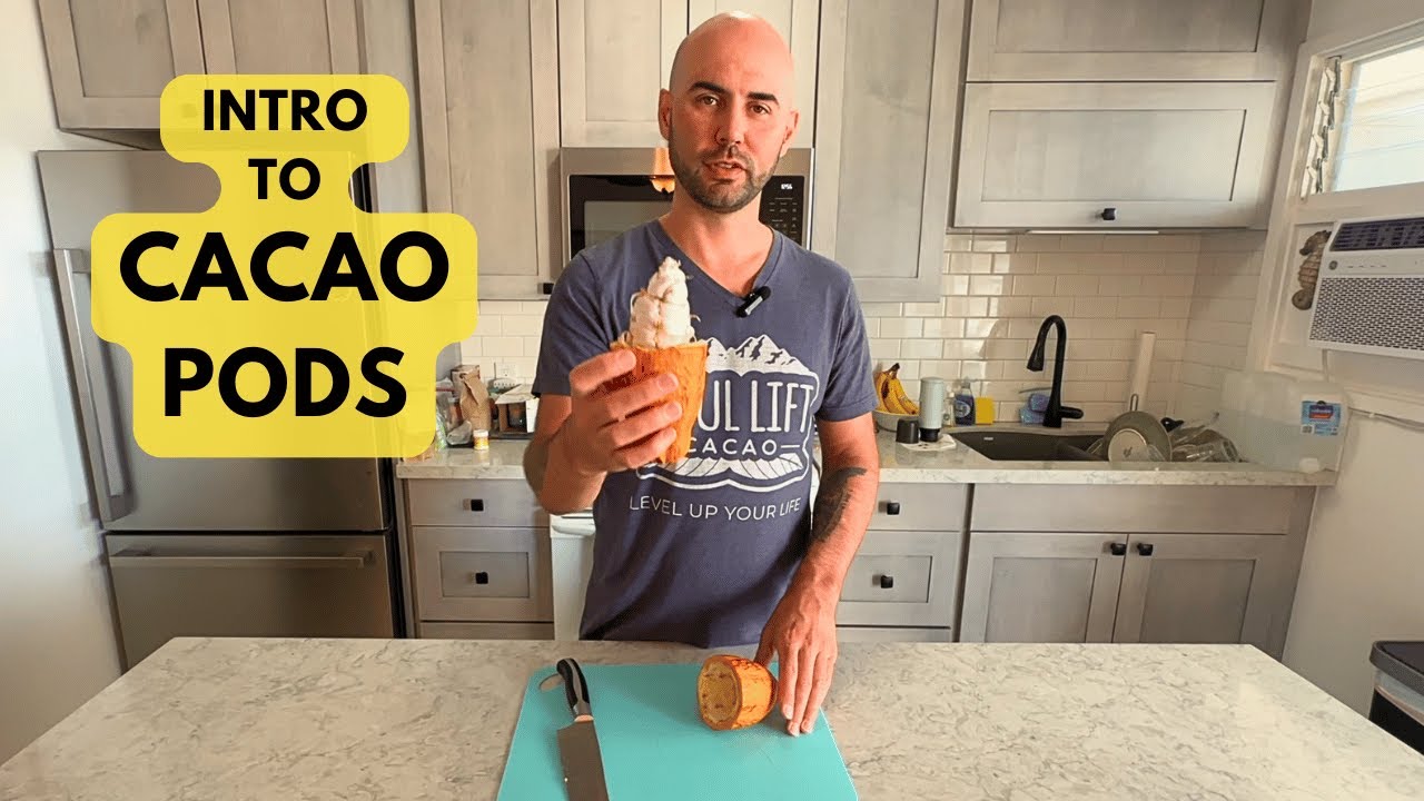 Intro to Cacao Pods - YouTube