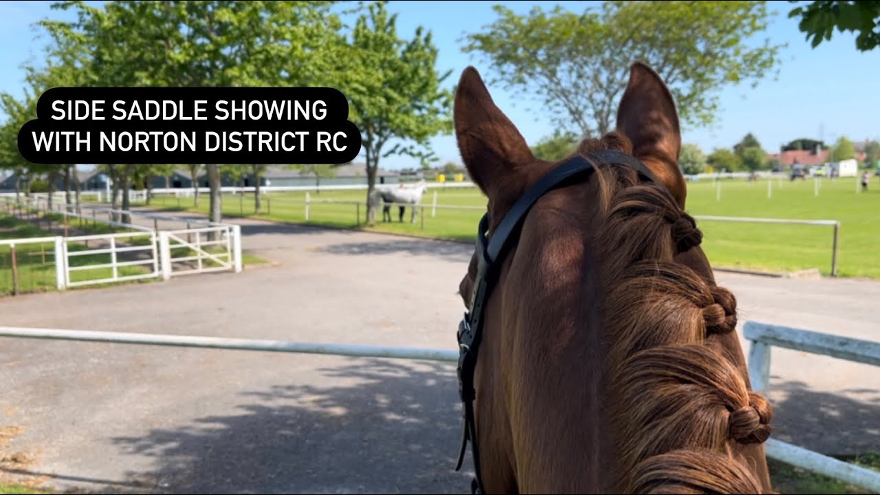 Weekend prep & a Side Saddle Area 12 show @ Norton District RC - YouTube