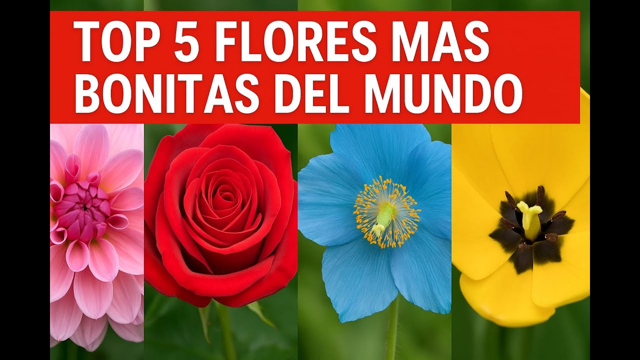 Top 5 flores más bonitas del mundo | Mundo Sorprendente AI - YouTube