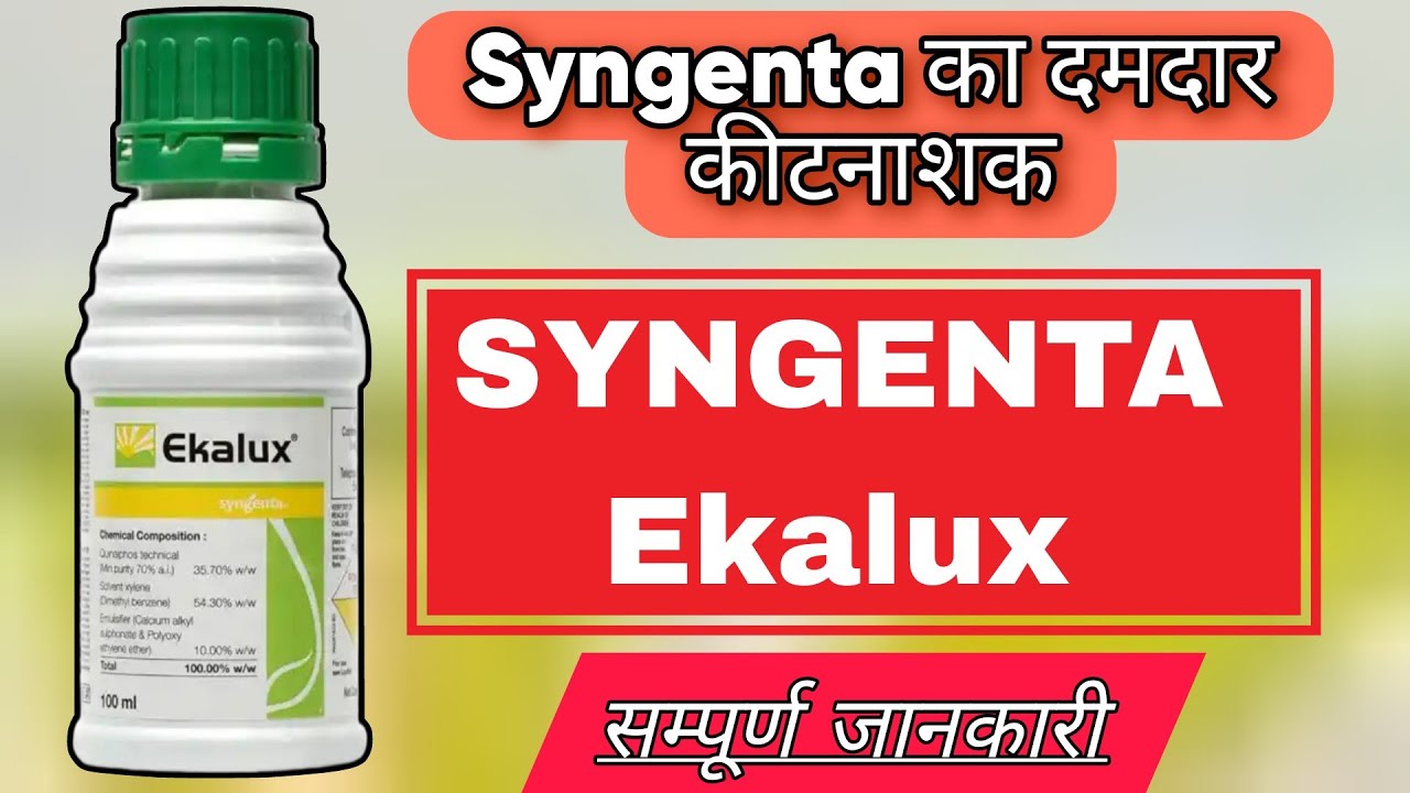 SYNGENTA EKALUX INSECTICIDE//EKALUX INSECTICIDE//Quinalphos 25 ec//#A2 ...