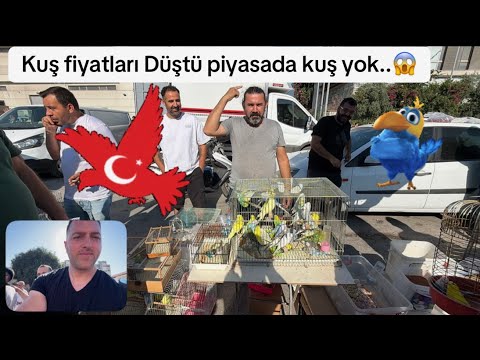 Türkiye nin en ucuz kuş pazarı Muhabbet sultan papağanı Sevda cennet papağanı ucuzladı #kuşpazarı 