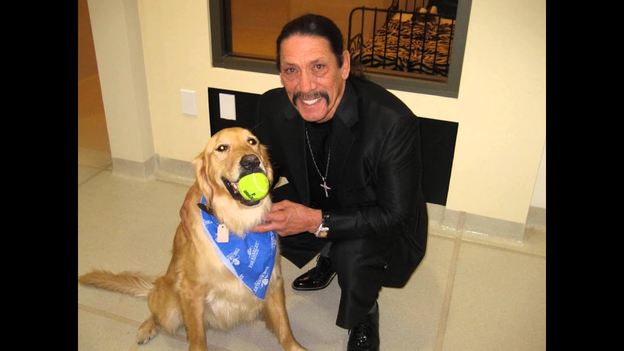 Actor Danny Trejo Brings His Dog to The Barkley Pet Hotel & Day Spa ...
