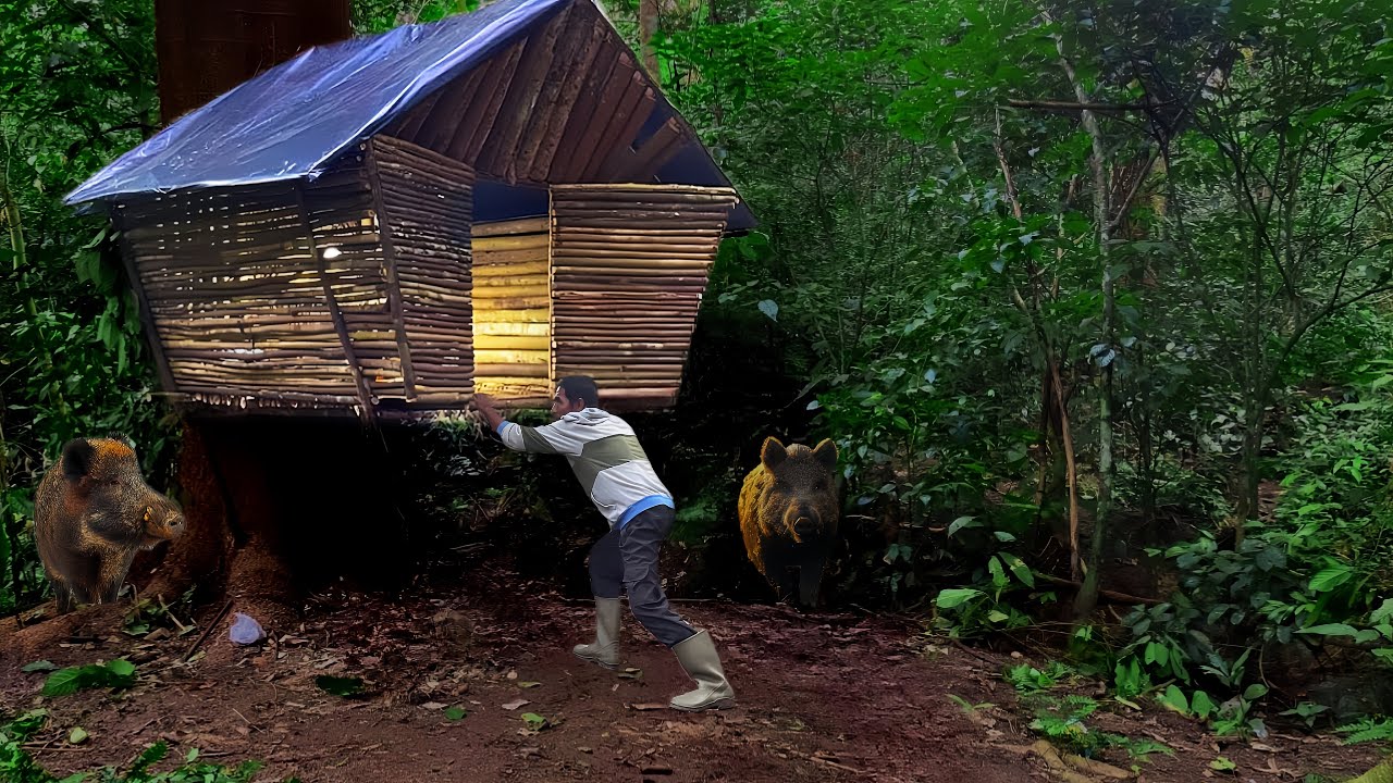 "Extreme Survival: Building a Shelter to Survive 3 Days in the Wild ...