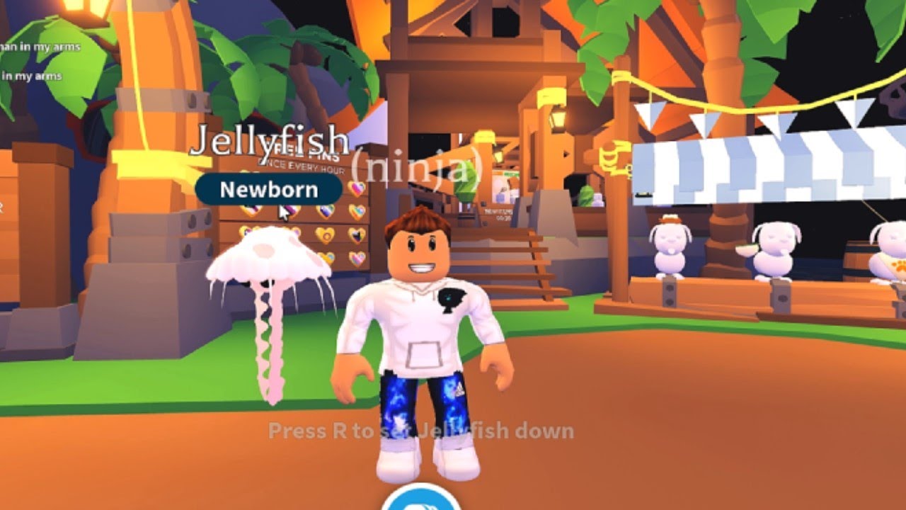 How to get Jellyfish Pet in Adopt me - YouTube