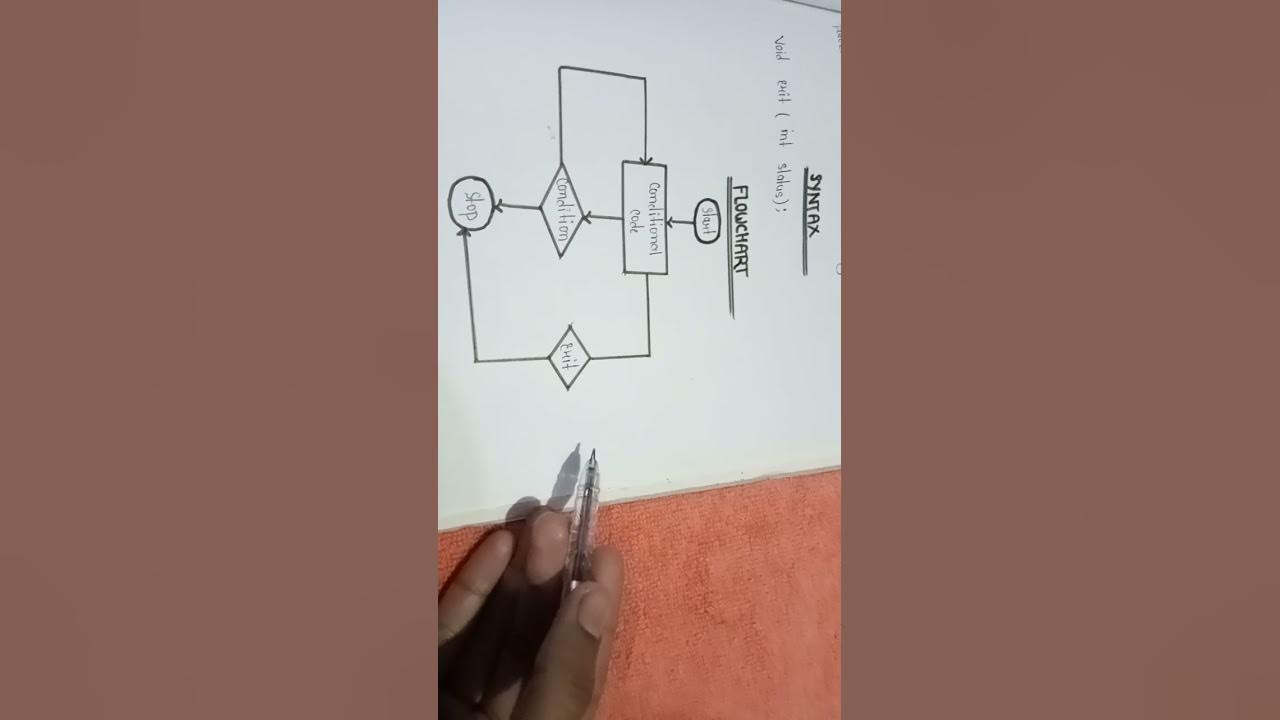 exit() Statement In C Programming - YouTube