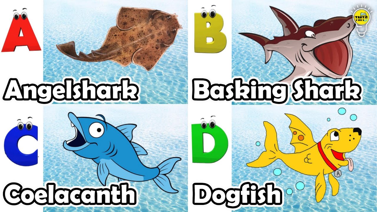 ABC phonics animals | ABC Sea Animals song | English and Animals for ...