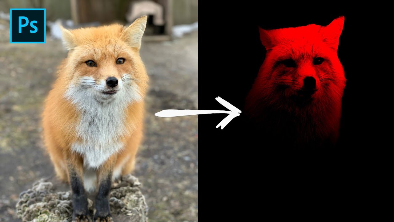 PHOTOSHOP TUTORIAL - Fox Elegant Lighting Effect - YouTube