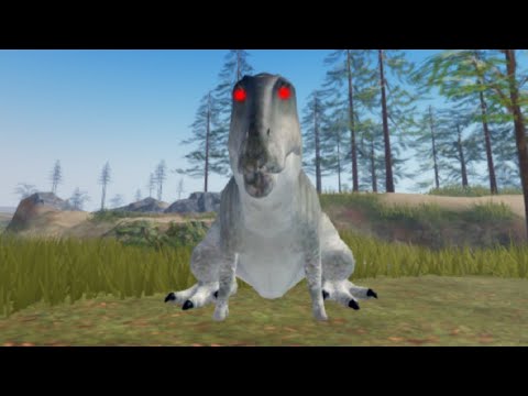 Top 5 Carchar - YouTube