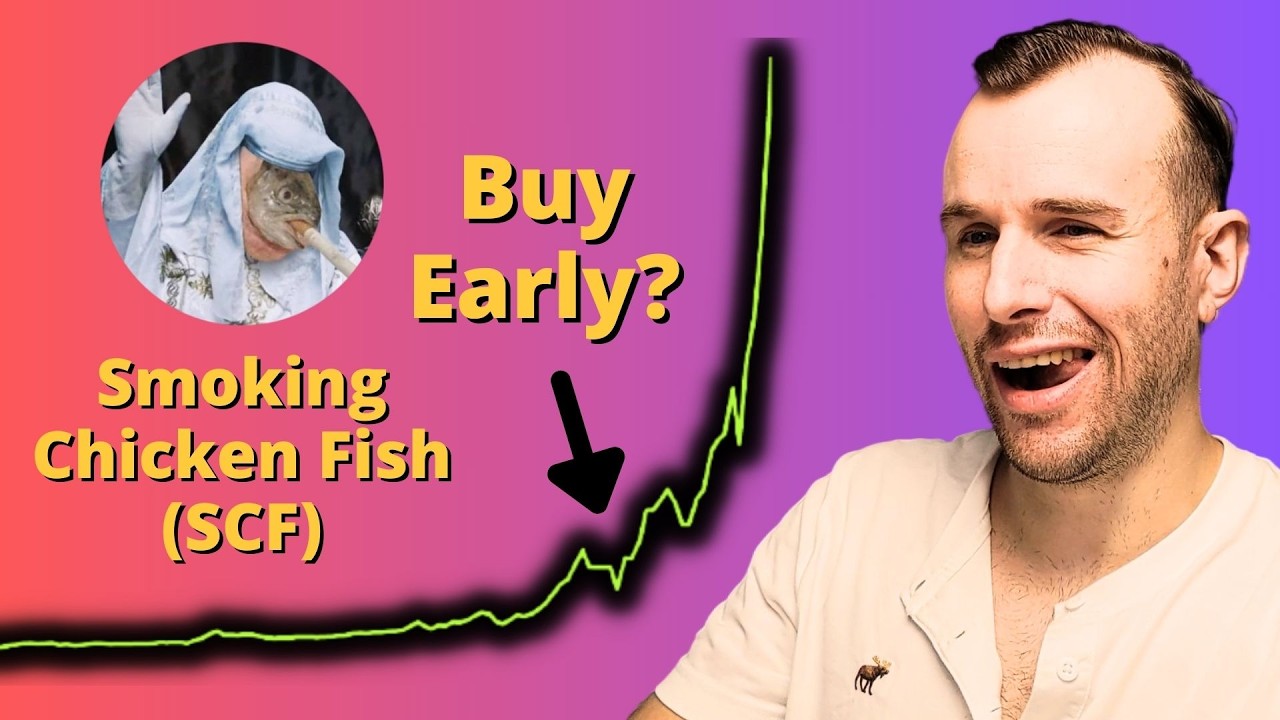How solid is the Smoking Chicken Fish rally? ☢️ SCF Crypto Token ...