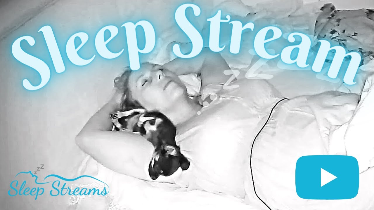 Live ASMR Sleep/Snore Stream with Puppies - YouTube