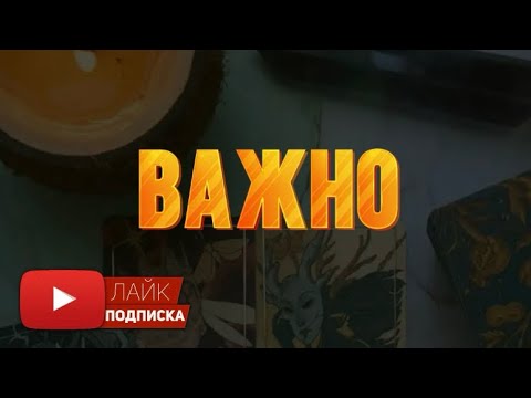 У них ничего не вышло против Вас 😂👏