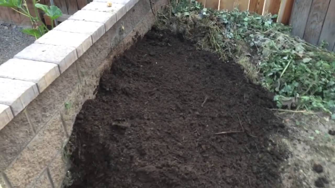 Organic drunken compost results - YouTube