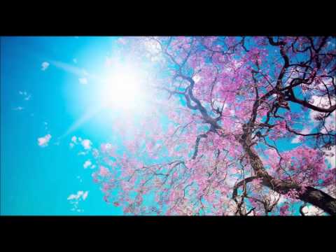Mendelssohn - Spring Song (Classical) - YouTube