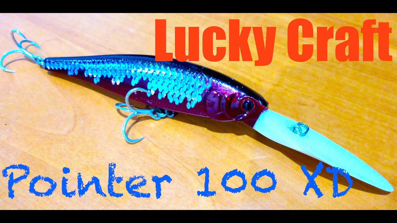 Lucky Craft Pointer 100 XD Review + Underwater Footage - YouTube