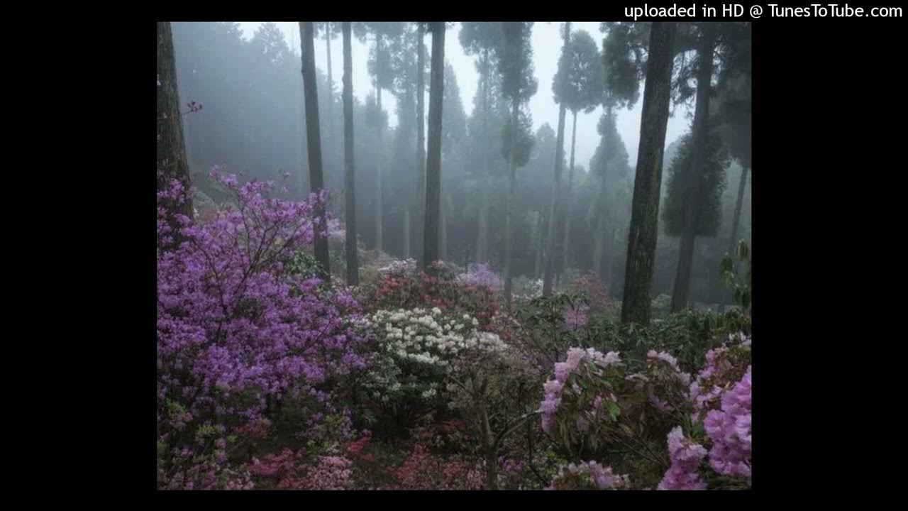 (Free) Jace! + Iayze + Reverence 2 Type Beat 2024 “Easy” - YouTube