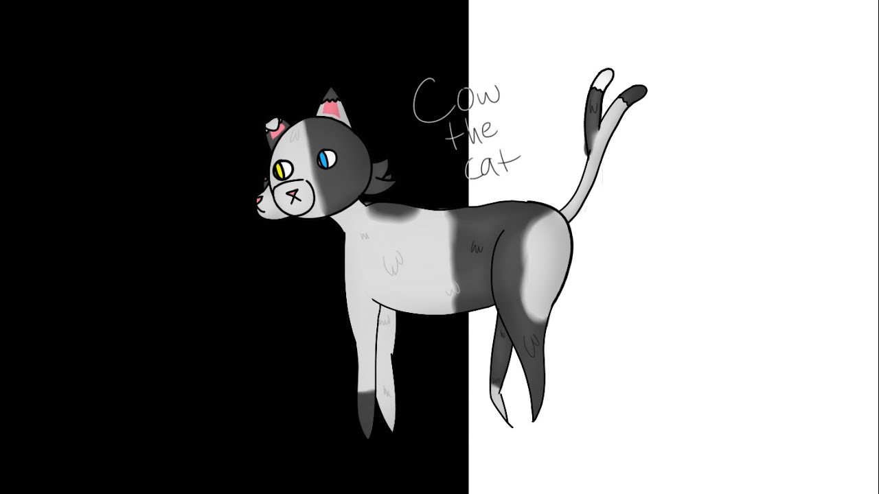 Moo Moo the Cat - YouTube