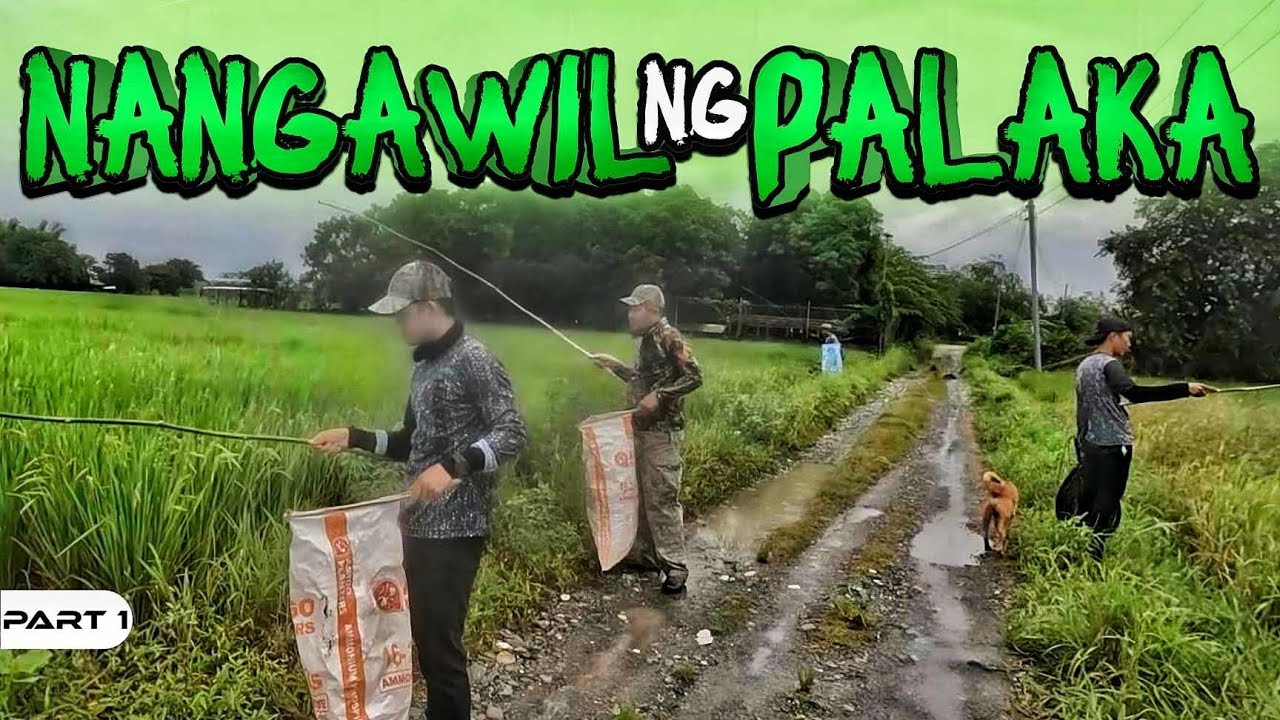 P1-NANGAWIL NG PALAKA - EP1121 - YouTube