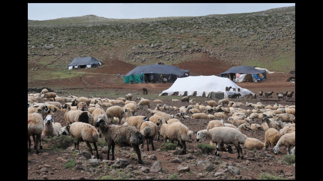 Ayibê Mistefê - Ereb Malamin - YouTube