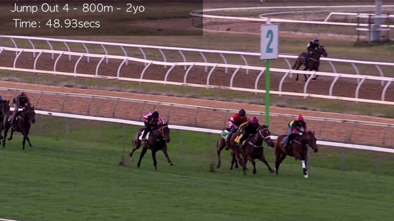 Cranbourne Jump Outs 27 March Jump Out 4 - YouTube