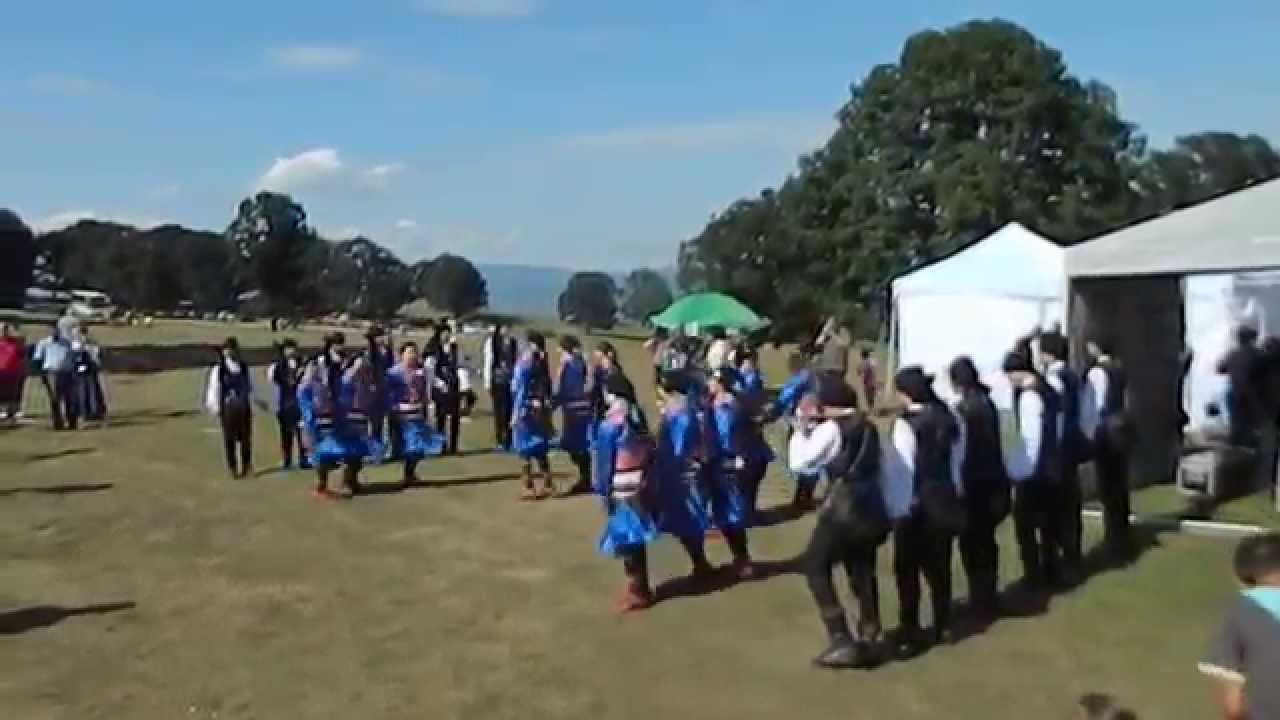 Dans turcesc traditional - YouTube