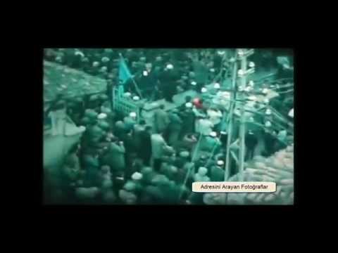Ölümsüzlük Çığlığı