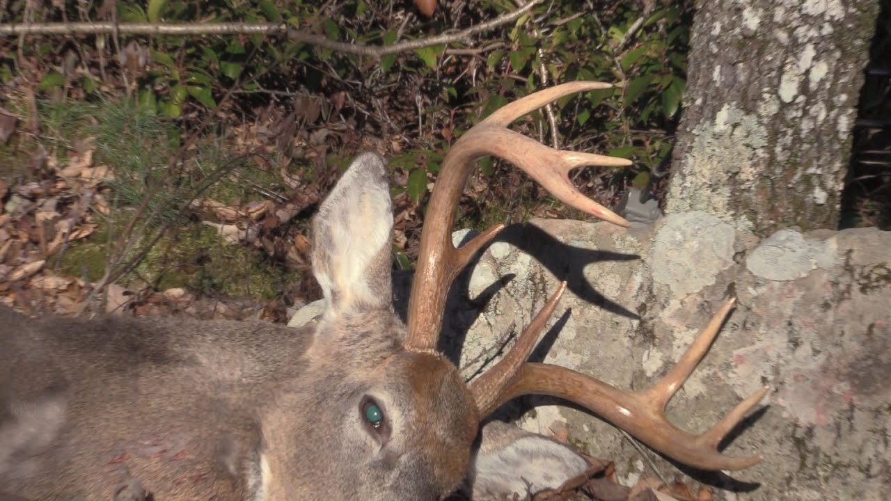 SWAMP BUCK! Pennsylvania OPENING DAY - YouTube