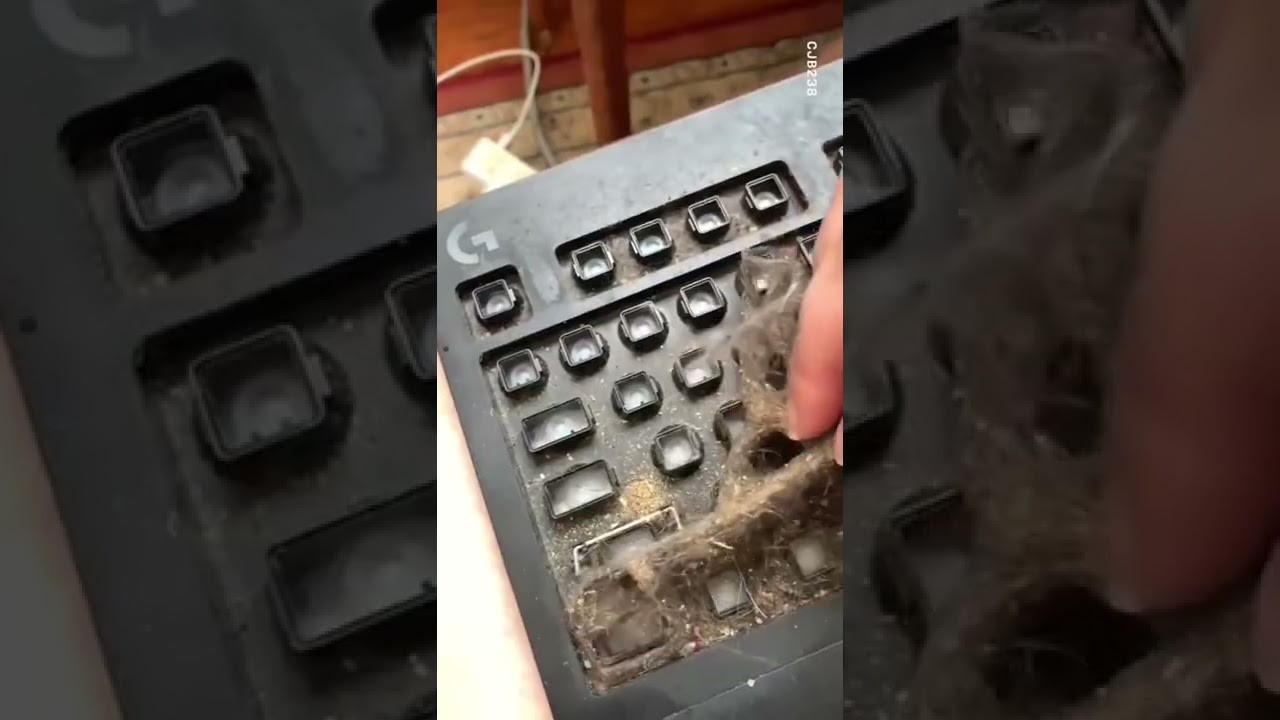 disgusting keyboard 🤢 - YouTube