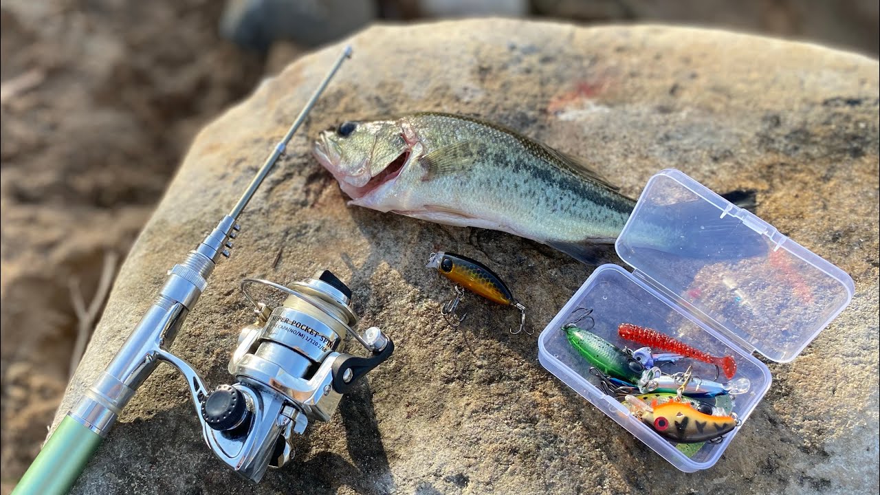 Micro fishing with pen fishing rod challenge (catch & cook) - YouTube