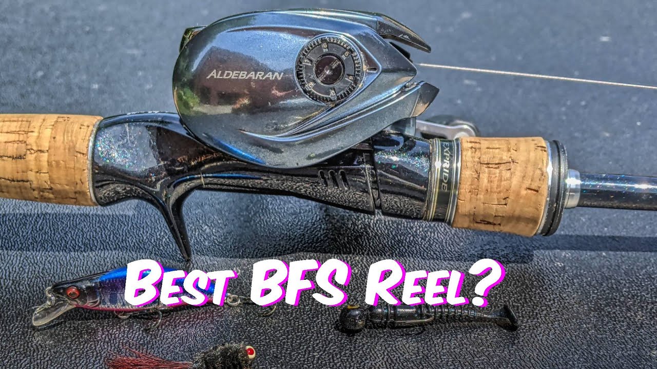 Should a Beginner Buy the 22 Shimano Aldebaran? Long Term BFS Reel ...