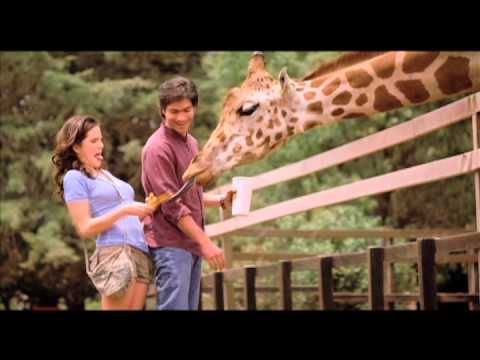 Me late chocolate-Trailer Cinelatino - YouTube