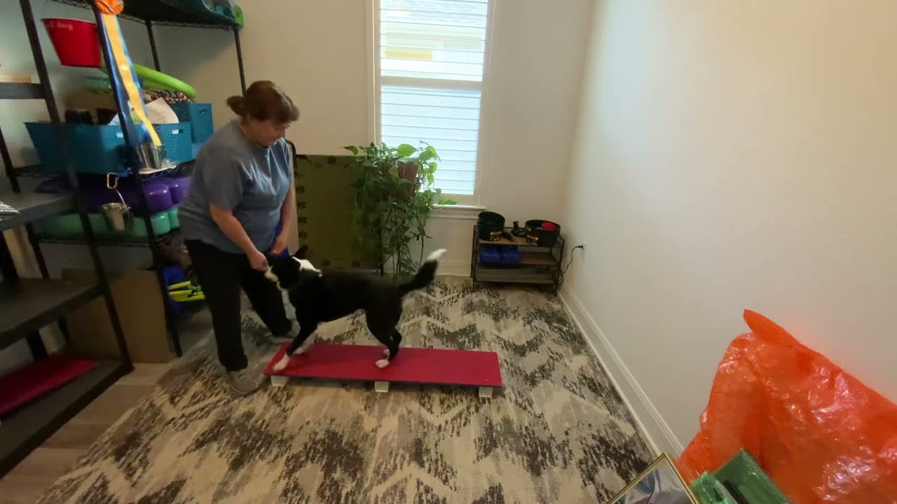 Side Stepping Over Plank - YouTube
