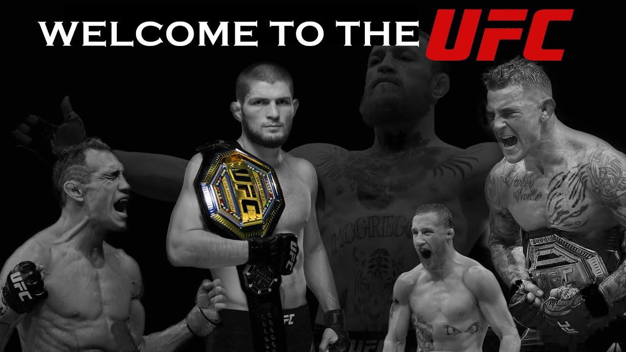 UFC Explained - Why MMA Is So Captivating - YouTube