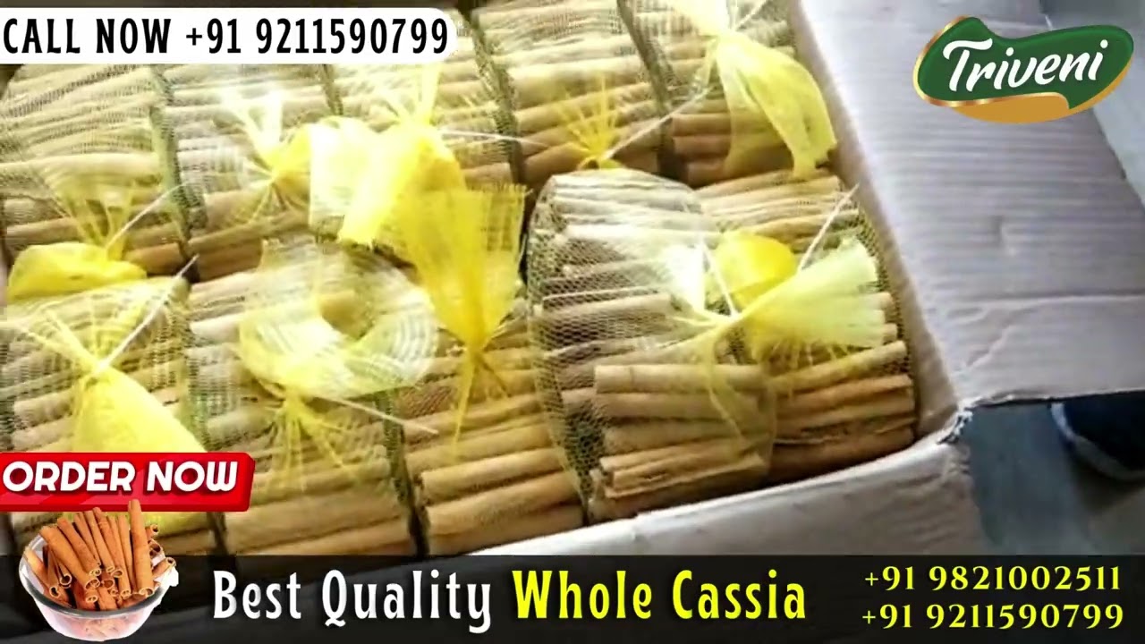 High Grade Top Quality Whole Cassia /Cigarette Cassia available ...