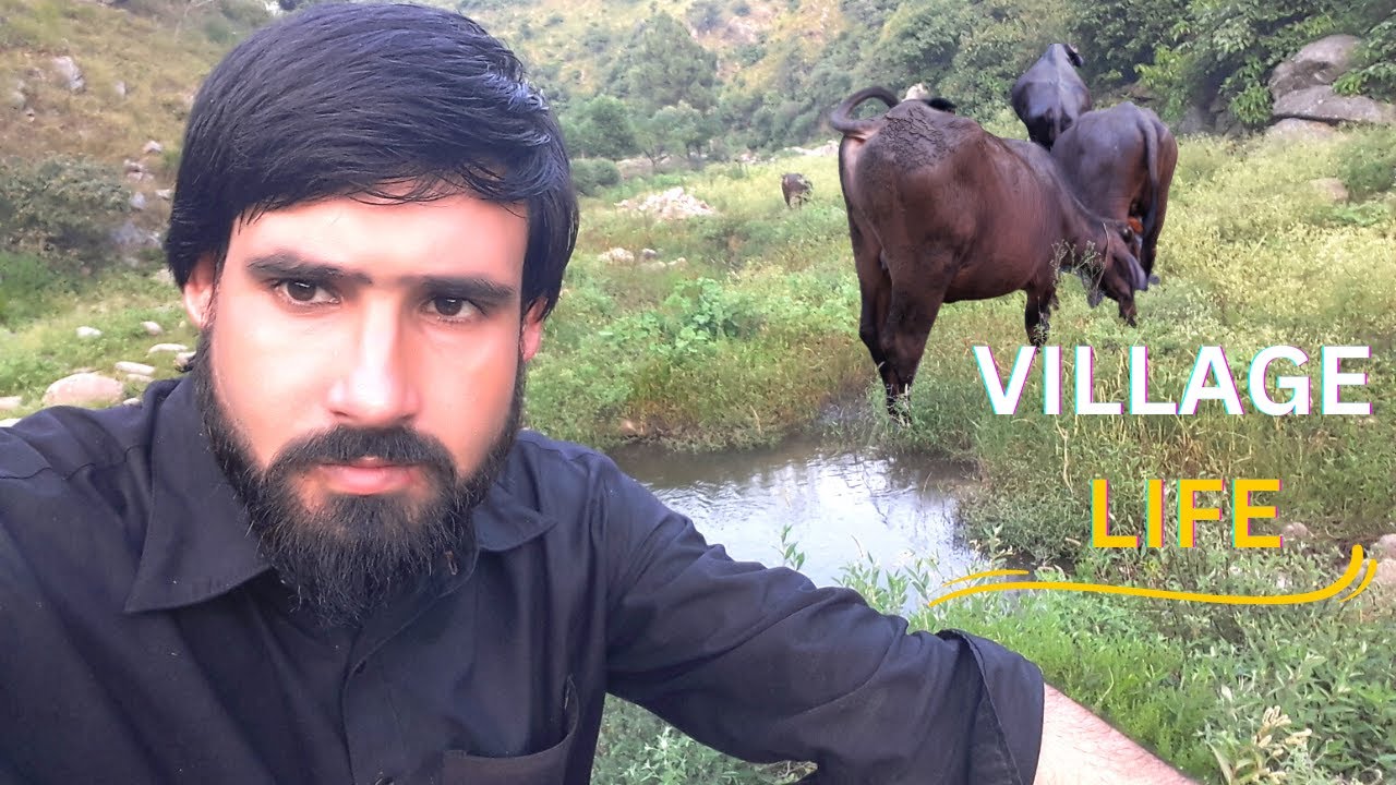 Morning Routine | Rural Pakistan | Daily Life Routine - YouTube