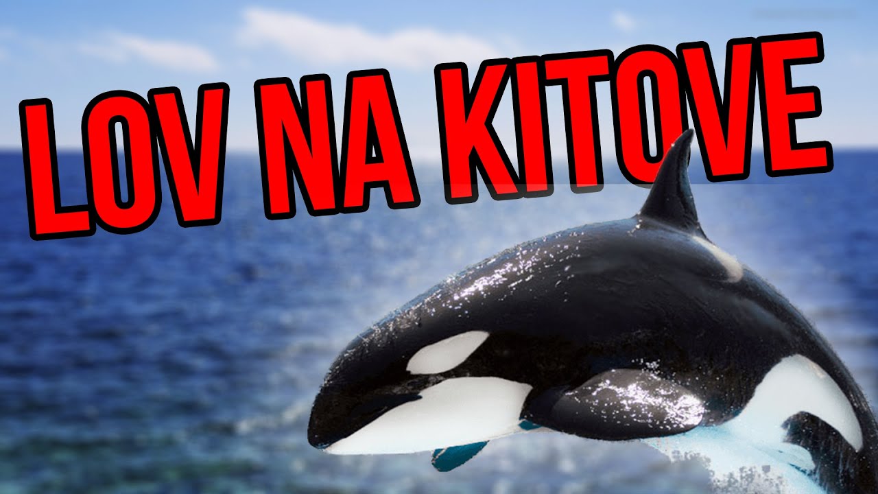 Lov na kitove [WHALING] - YouTube