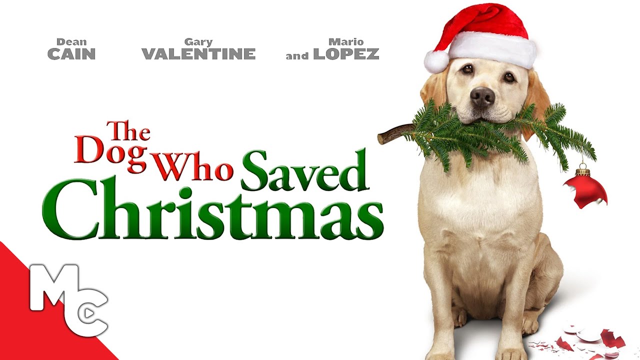 The Dog Who Saved Christmas | Full Christmas Movie | Dean Cain - YouTube