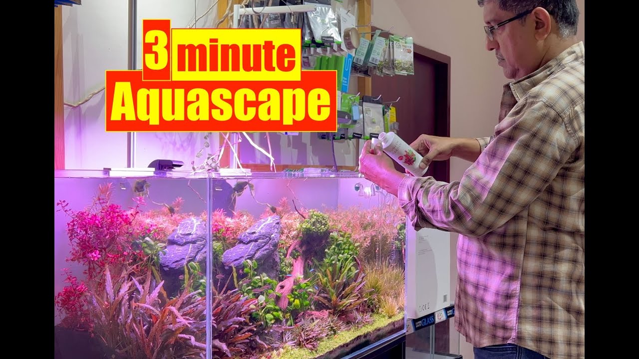 3 Minute Aquascape | Nature Aquarium | Mayur Dev Aquascaper | Planted Aquarium | Aqua Zones 4K ...