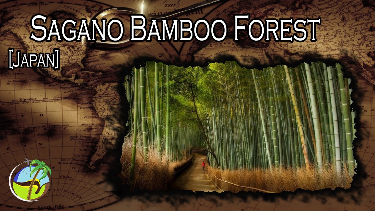 Sagano Bamboo Forest, Japan - YouTube
