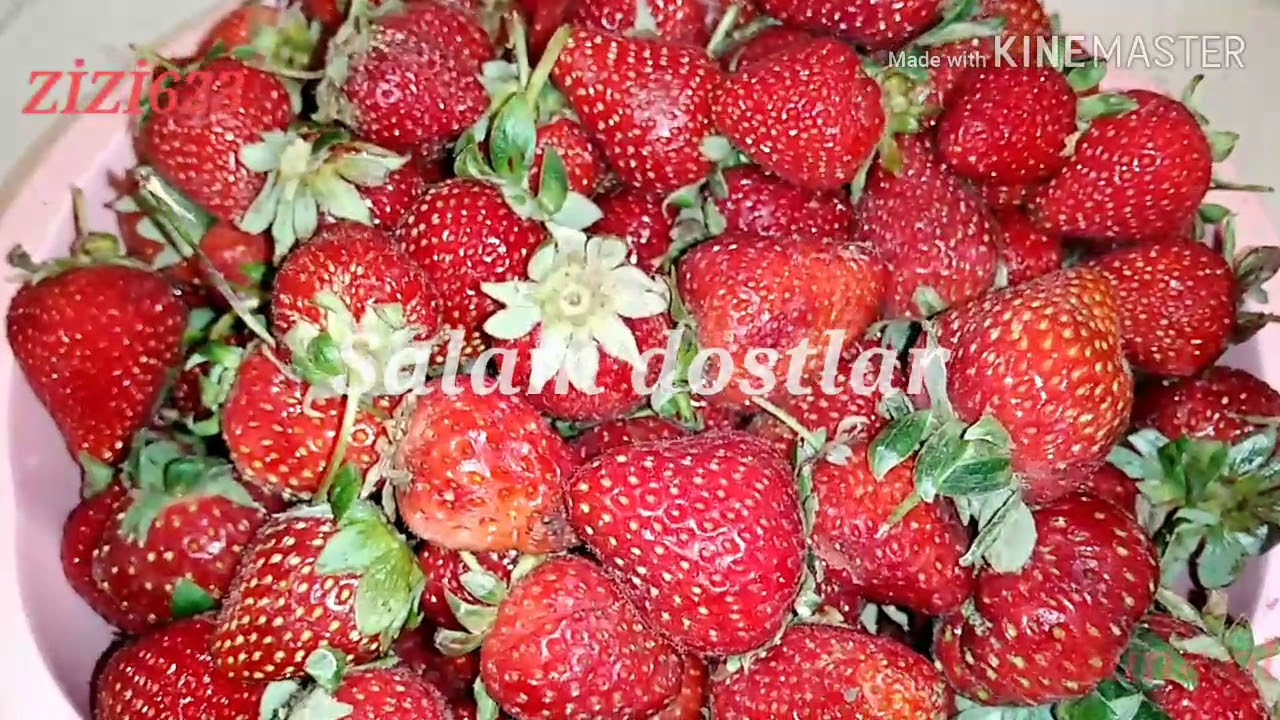 Çiyelek mürebbesi. Qışa hazırlıq. - YouTube