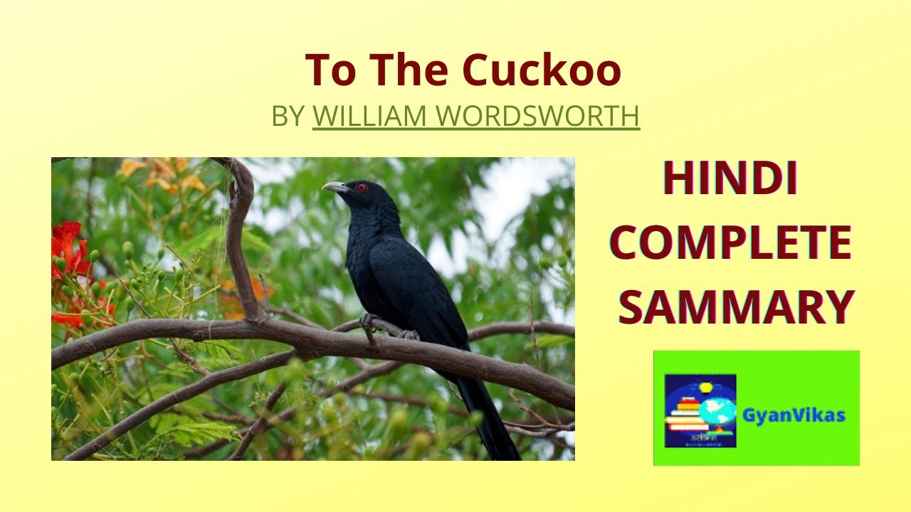 TO THE CUCKOO BY WILLIAM WORDSWORTH || English Explanation|translate ...