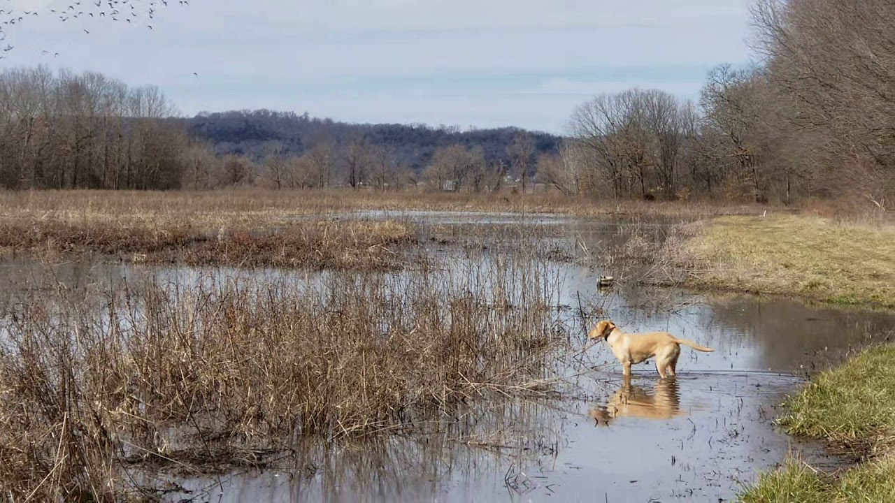 Mini Claypool reservoir - Brussels, Illinois - YouTube