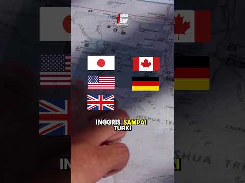 Jepang & Amerika Sikat Ngincer Daun Ketapang #ekspor#daunketapang