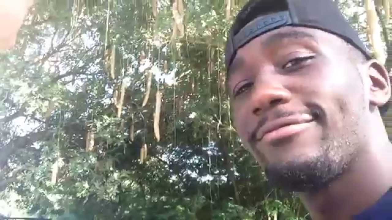 SAUSAGE TREE Tim Hattrick So Anyways VLOG with Terence Bud Crawford ...