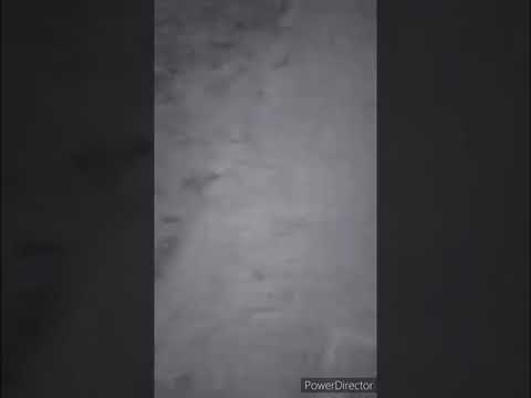 Periscope rasta_mafia_🙌