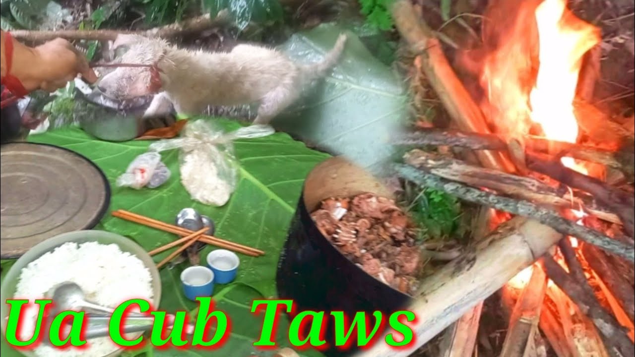 Peb hmoob li kev cai ua neeb ua cub taws - YouTube