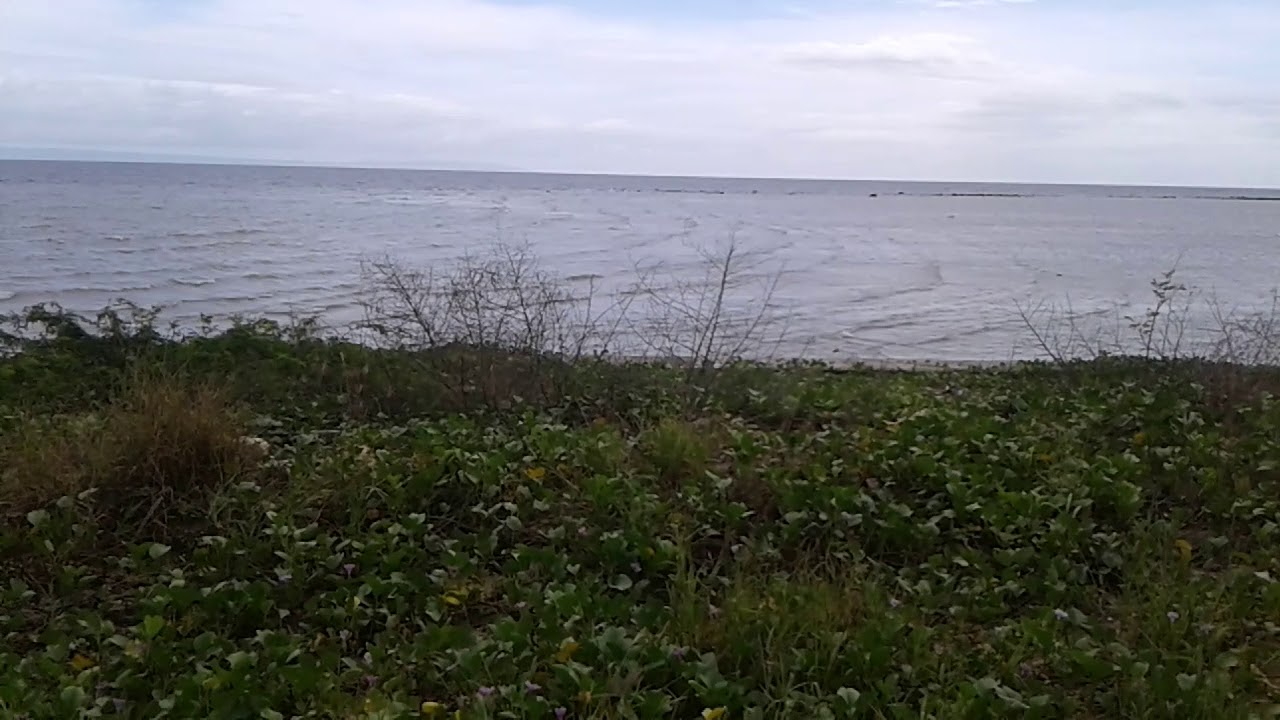 Guanzon Beach Resort - YouTube