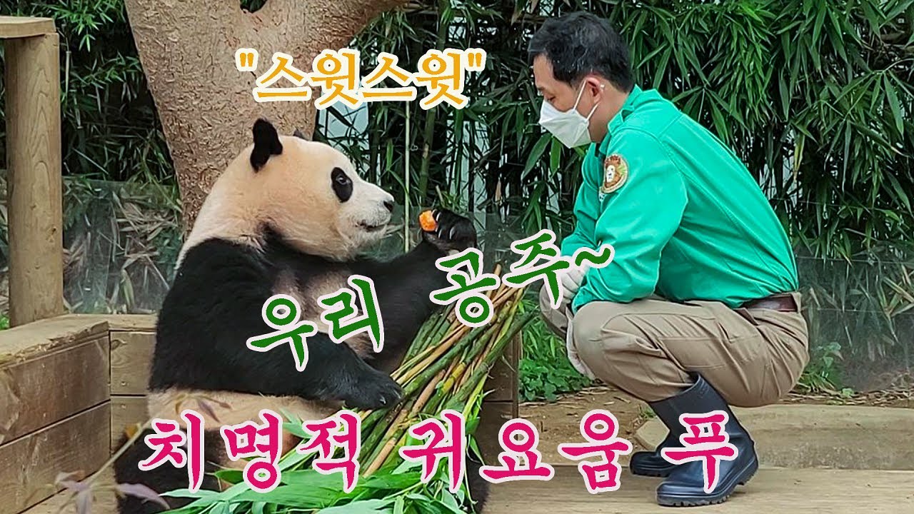 ê°ë°ì€ëðì€ìì€ì ë¹ê·Œì£Œëì¬ë¯ž ížë°ì€ðâê°ë°ì€ëí ìë²ì§ ë ìë¡ì ë§ì ìì Youtube