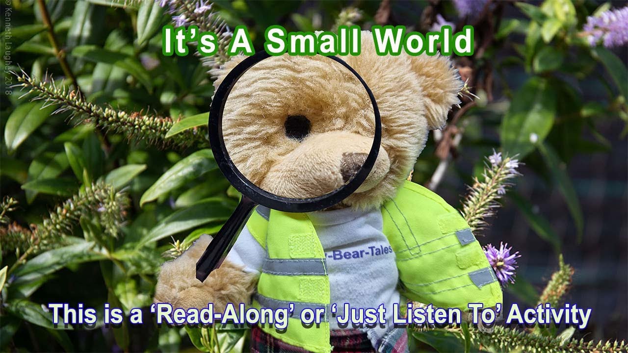 The Teddy Bears Look At Insects Through A Magnifying Glass - YouTube