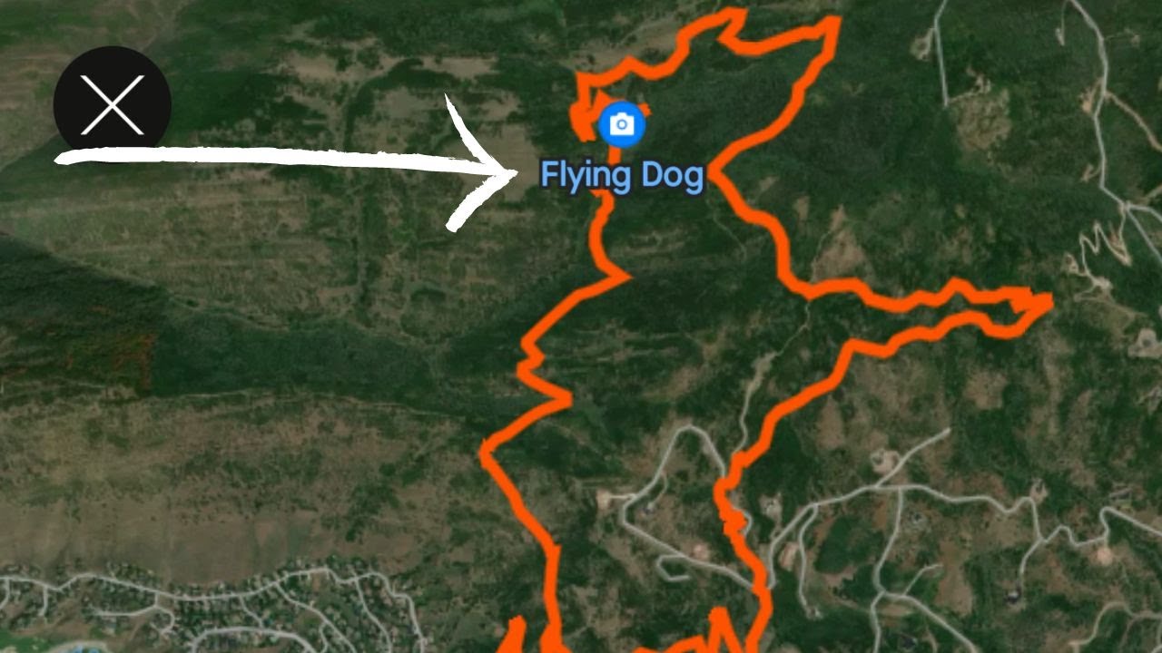 Flying Dog Trail, Flowy Sweet Goodness!!! - YouTube